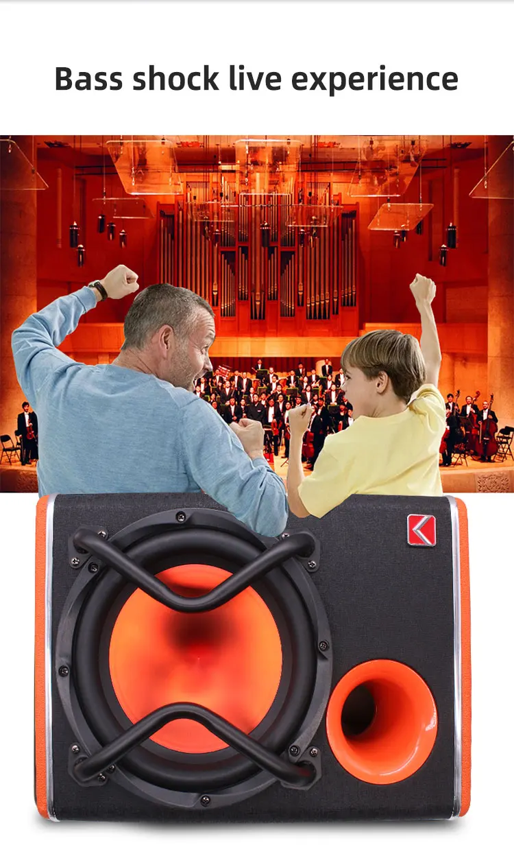 Factory Wholesale 1200W Big Power Trapezoid Car Subwoofer 10 Inch ...