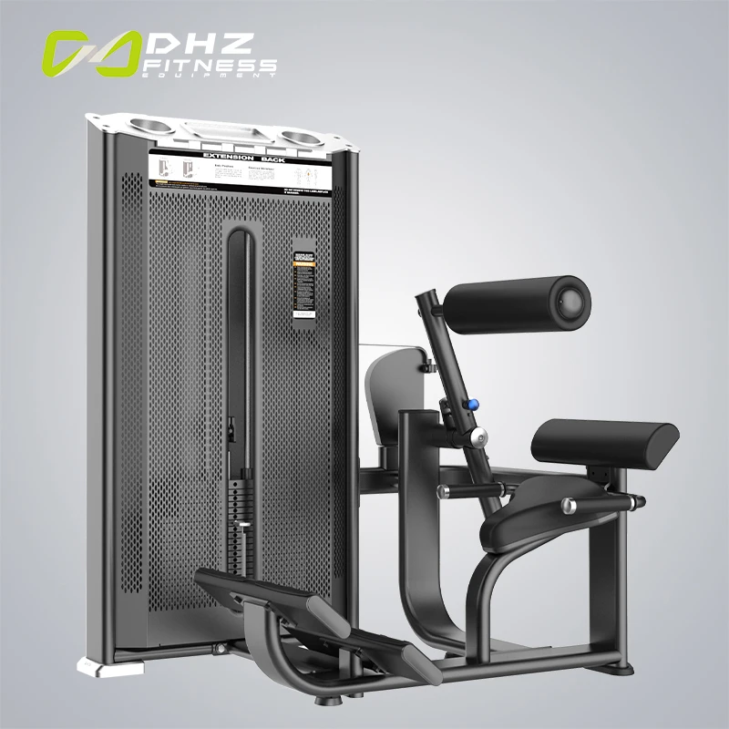 DHZ Gym Equipment E7031A Back Extension - High Quality