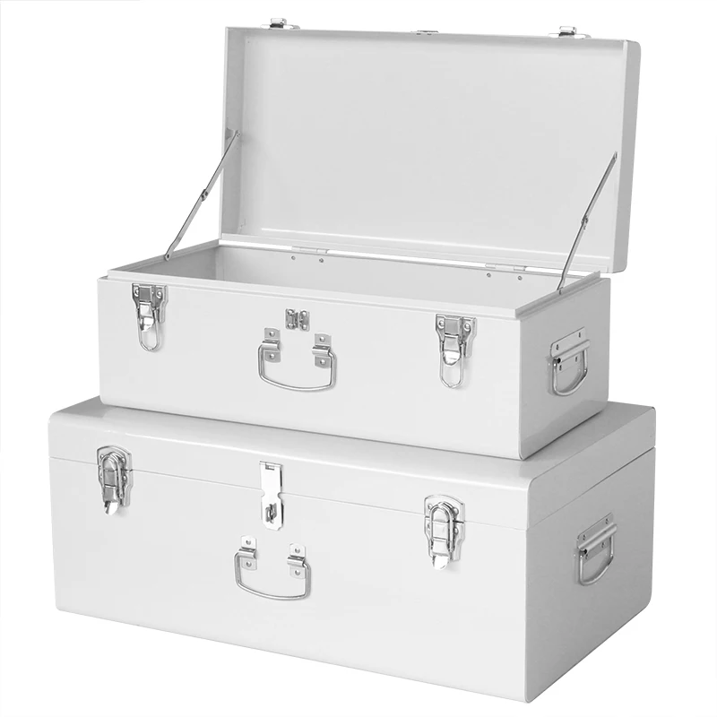 Custom Modern Set Of 2 Milky White Metal Storage Trunk Boxes For ...