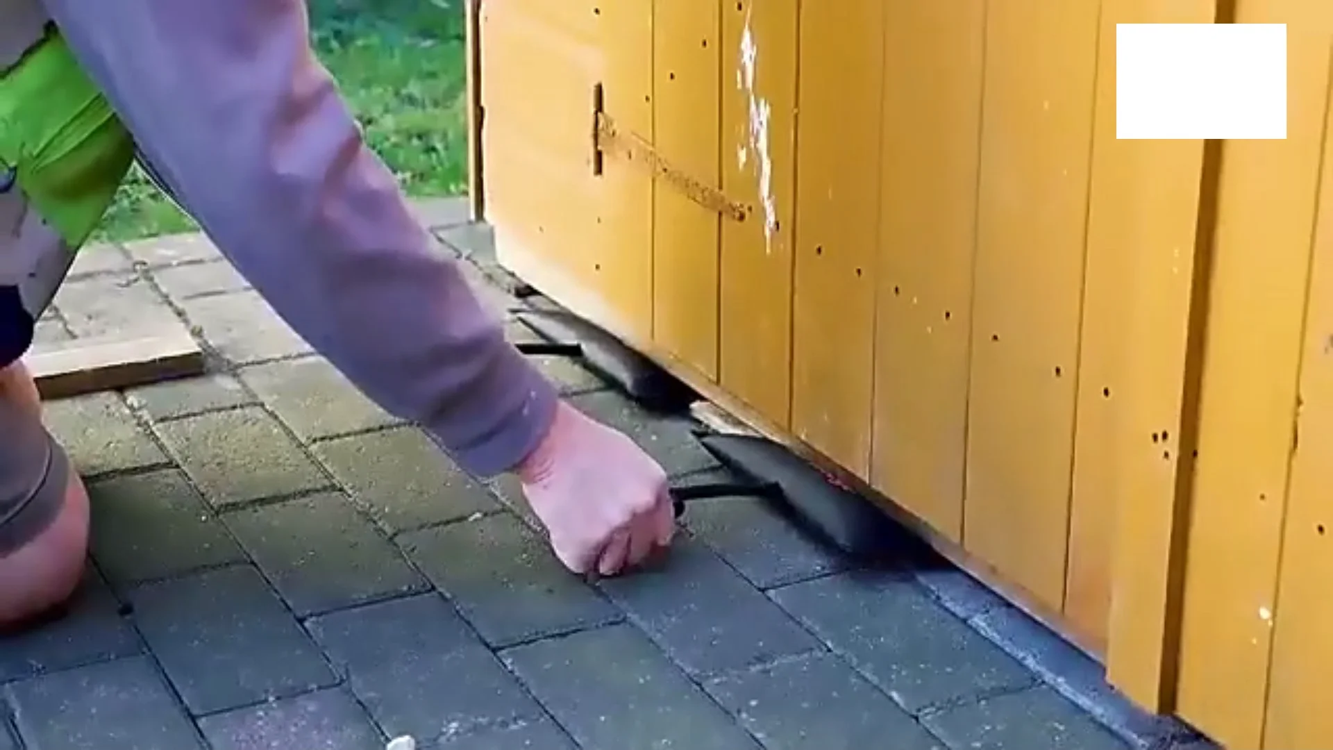 Skyhope 2024 Inflatable Air Bag Pump Wedge Lockout Kit For Car Body ...