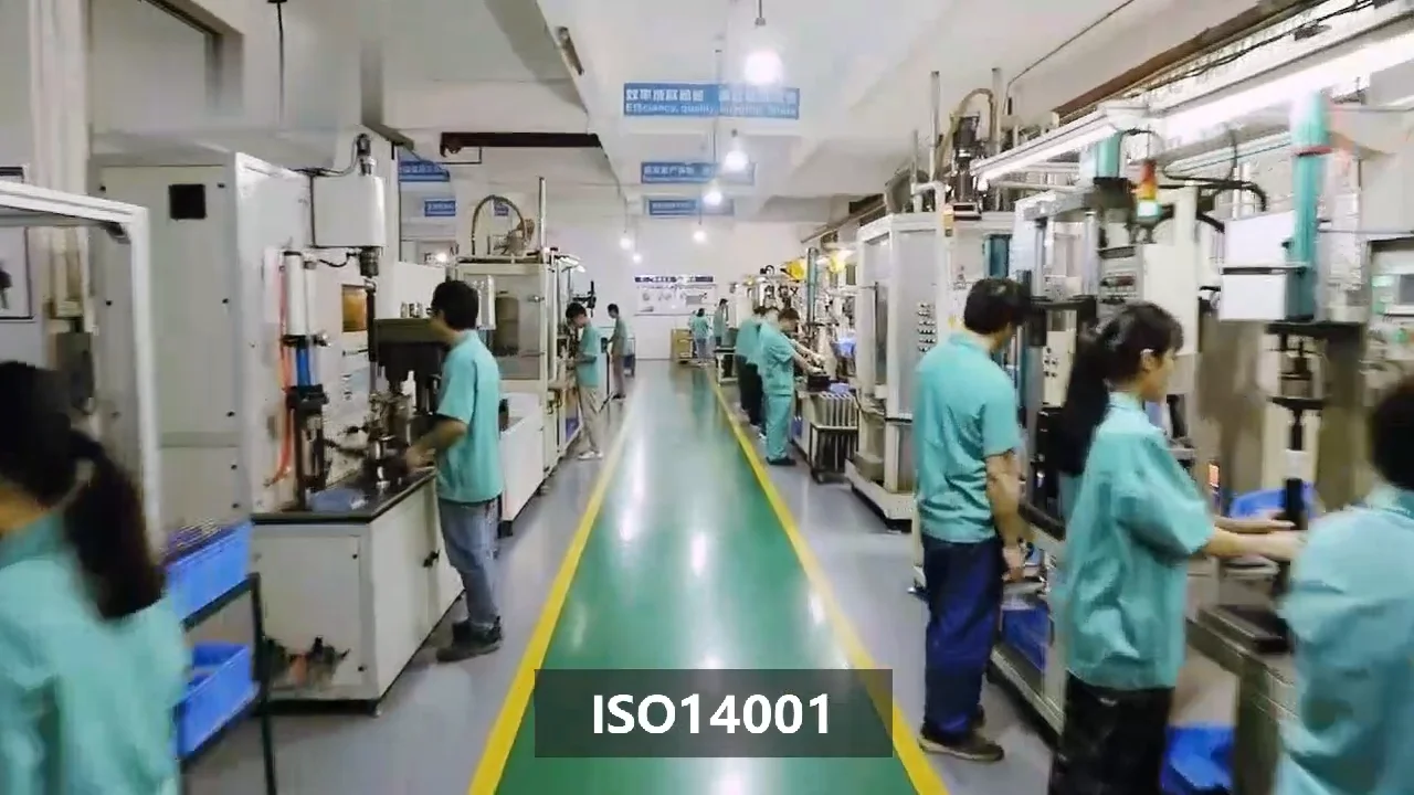 32103444366 32103444368 Para Bw W 3 3 (wdrauh Erotronnn ...