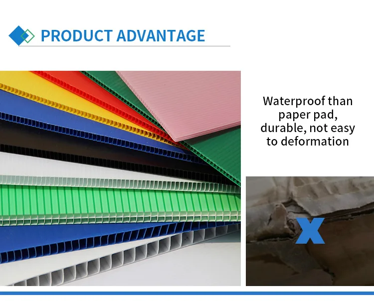 Pp Corrugated Seafood Box 2kg Shrimp Correx Plastic Box - Buy Seafood ...