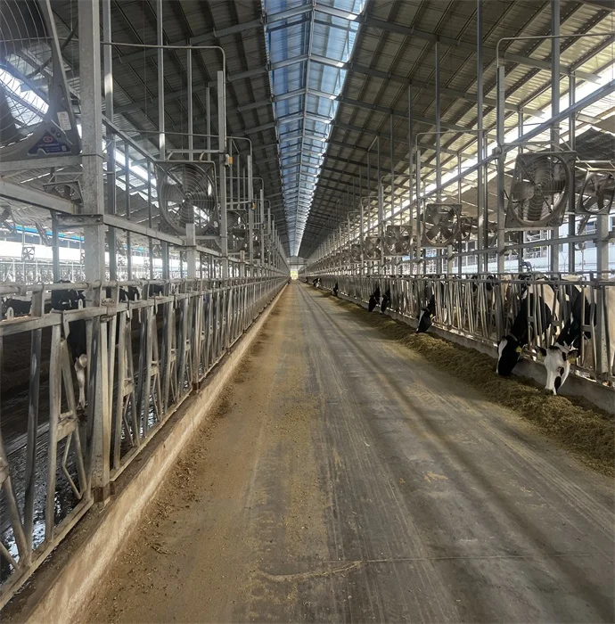 Alibaba.com: Galvanized Jersey Cow Headlock, Economically Priced ...