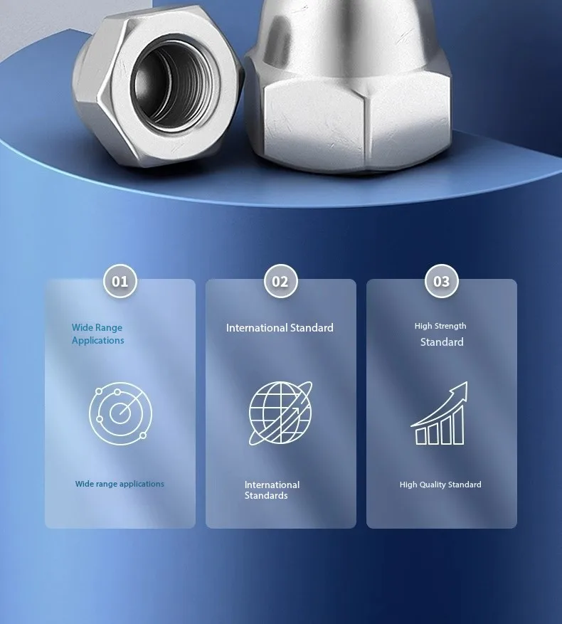 Stainless Steel Hex Domed Flange Cap Nut with Serrated