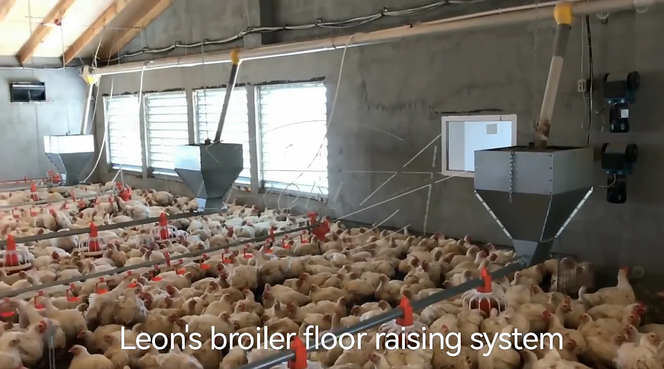 Automatic Poultry Feeder Broiler Chicken Automatic Drinker Pan Feeding ...