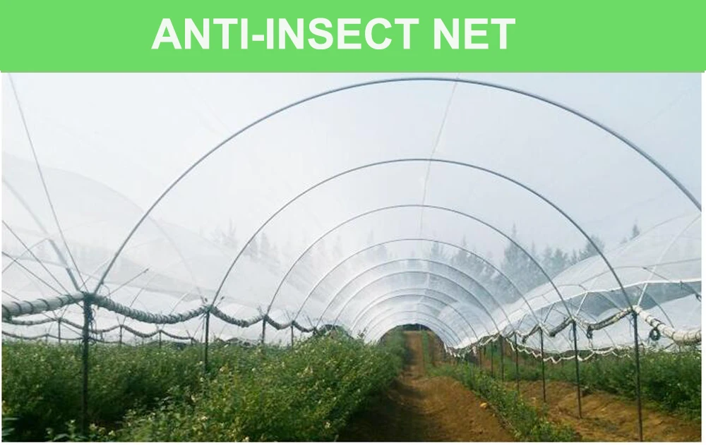 Hdpe Insect Net Aphid Mesh Fine Mesh Net Insect Netting for Vegetable ...