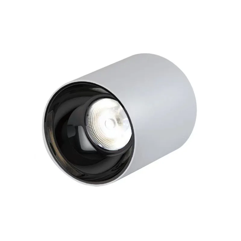 60-90w Ip65 Ceiling Surface-mounted Spotlights Round Antiglare Dimmable ...