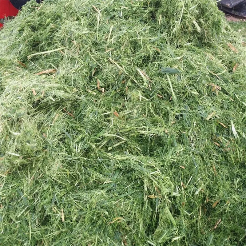 Single Row Mini Combine Silage Harvester - High Productivity