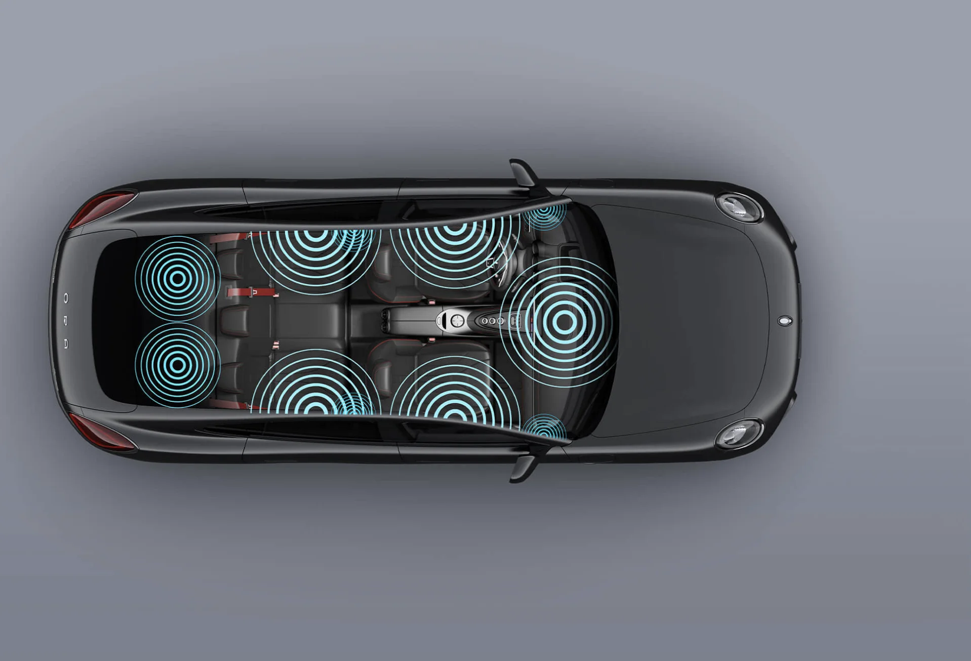 Euler Lightning Cat Two Wheel Drive Long Range Deluxe Edition Guardian ...