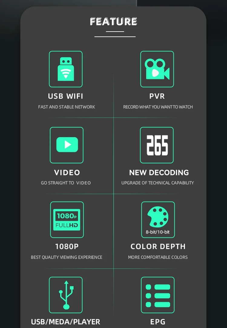 Customized H265 Digital Terrestrial TV Decoder 1080P FTA