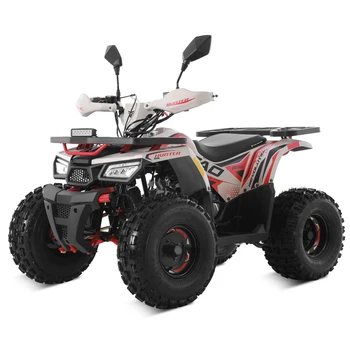 Tao Motor 2024 Off Road Farm Cheap Atv Gas Powered 4 Wheel Quad Bike ...