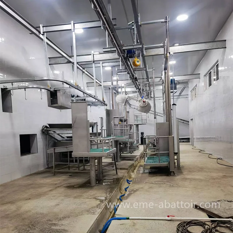 Halal Small Cattle Slaughterhouse - Efficient & Reliable