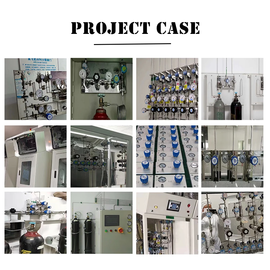 6000 Psi Inlet Gas Regulator with 3000 Psi Outlet for CO2/O2/N2/H2