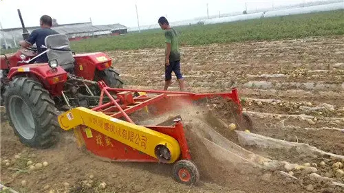 Farm Tools Potato Digger Tractor Mounted Single Row Potato Harvester ...