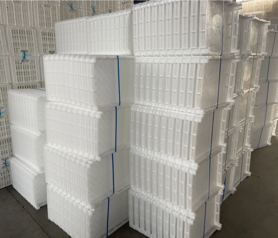 White Color Mesh Plastic Meat Trays With Small Hole Plastic Drying Tray ...