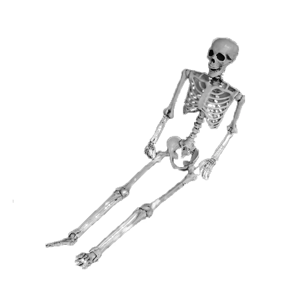 Joints Movable Haunted House Creepy Bones Realistic Human Indoor And ...