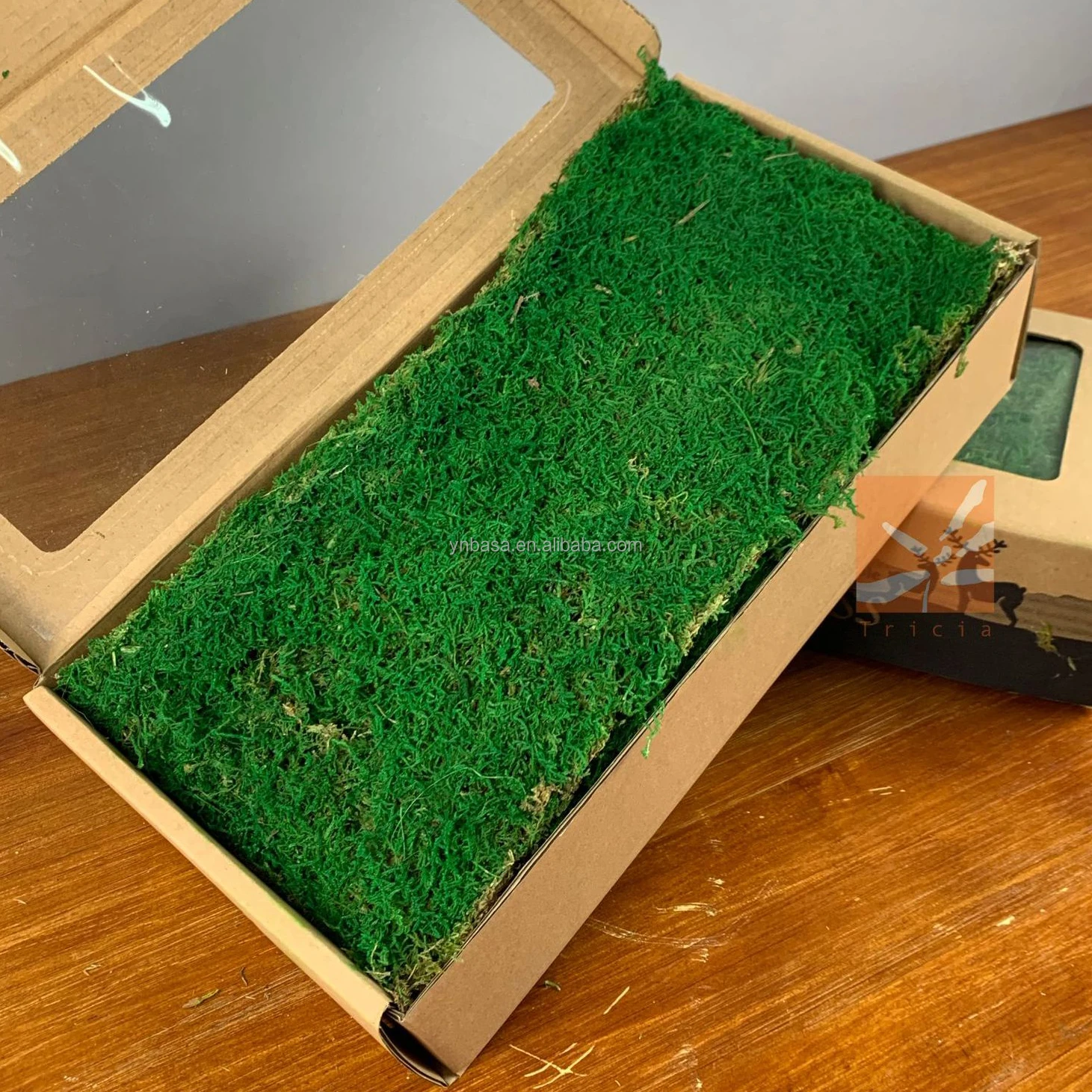 Different Types of Spanish Moss - Preserved Natural Beauty