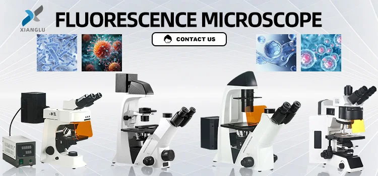 Xianglu Opticalfluorescent Microscope With Camera Microscope Camera 4k ...