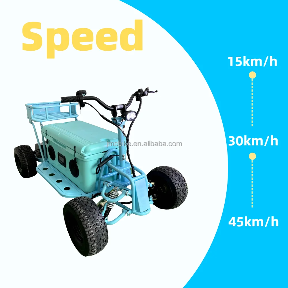 48V 2000W Adult Motorized Cooler Scooter - off Road Fun