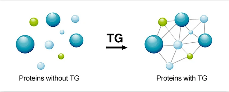 Good Taste Better Flavor Food Additives TG Enzyme / Transglutaminase ...