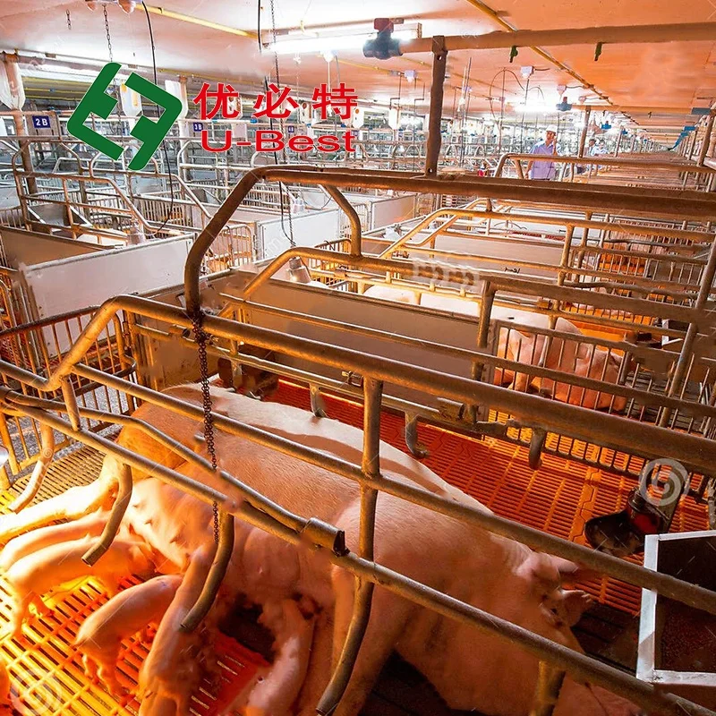 Hot Sale Pig Breeding Equipment Sow Pen Farrowing Pen For Sale ...