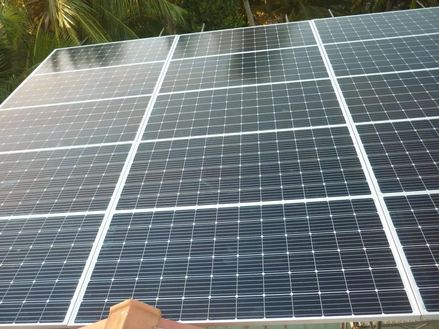 Tongwei Solar Panels - High Efficiency for Home & Commercial