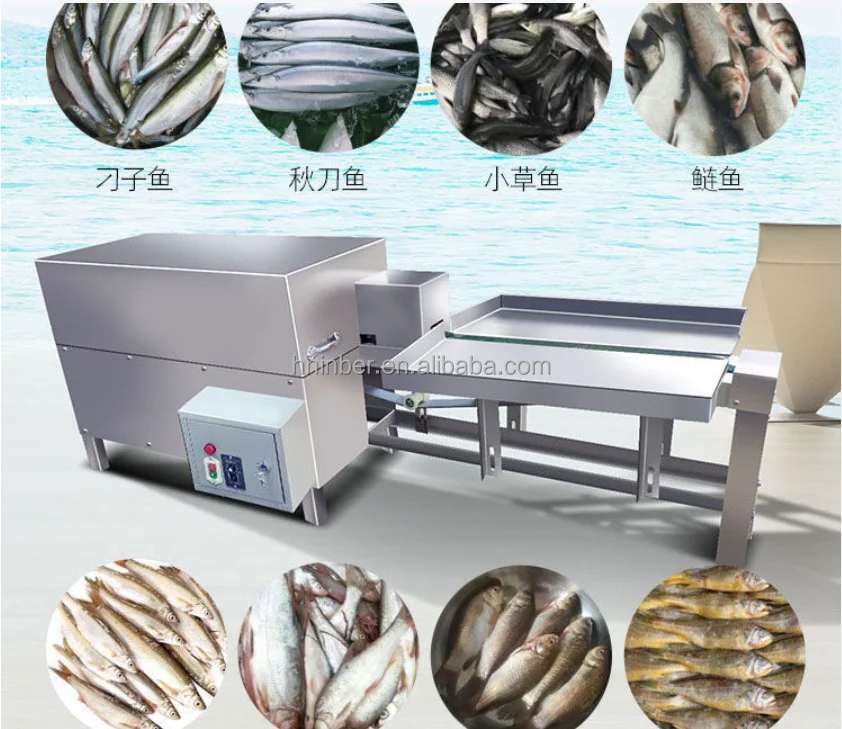 Good Quality Fish Kill Machine Fish Viscera Removal Machine Fish ...