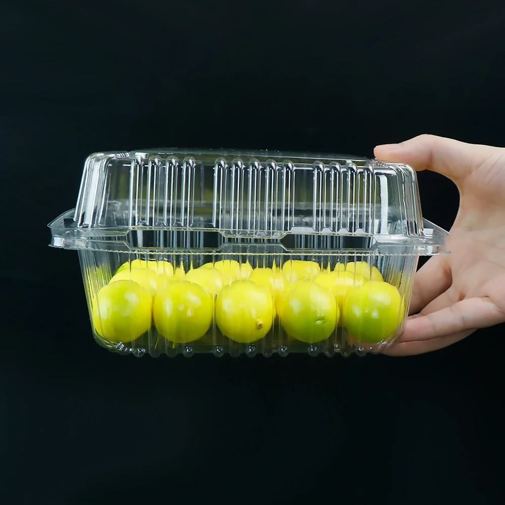 Plastic Fresh Fruit Food Box Packaging, Disposable Plastic Clamshell ...
