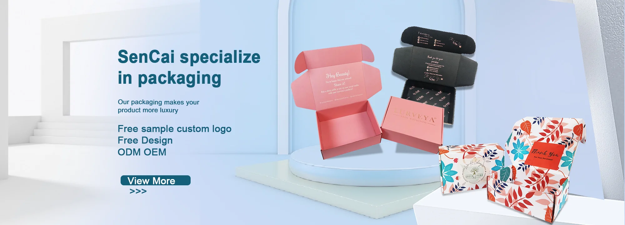 Luxury Corrugated Shipping Box Custom Printed Design Box Shoes and ...