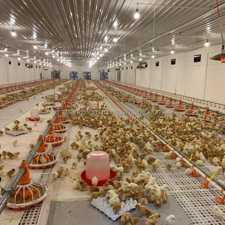 1200*500MM Plastic Slat Floor for Chicken Farms - Durable & Easy to Clean