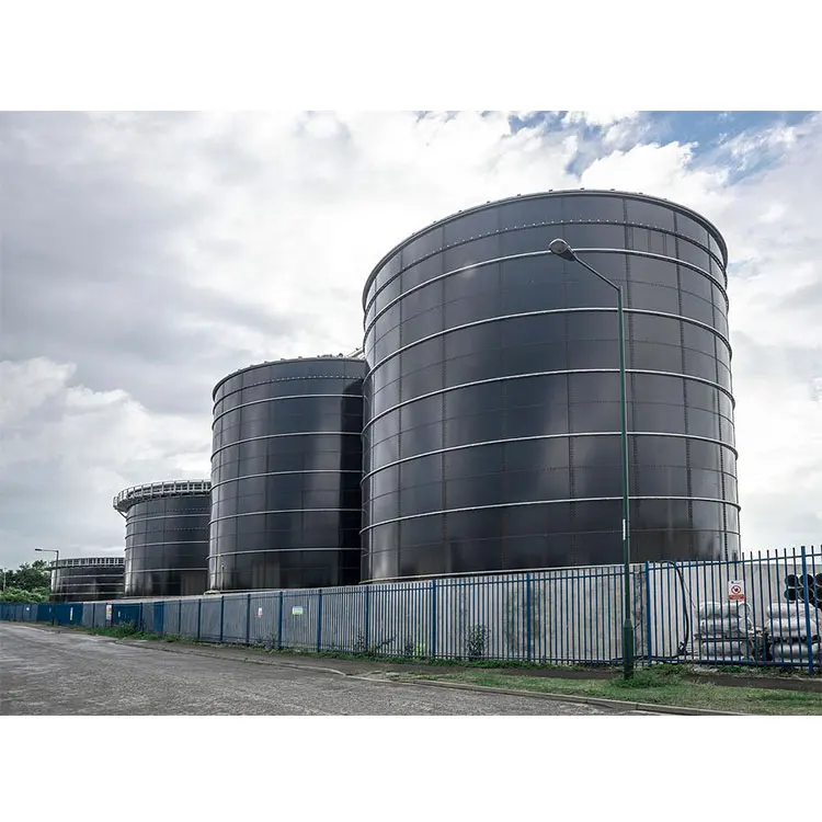 Industrial Size Biodigester Biogas Septic Tank With Biogas Purification ...