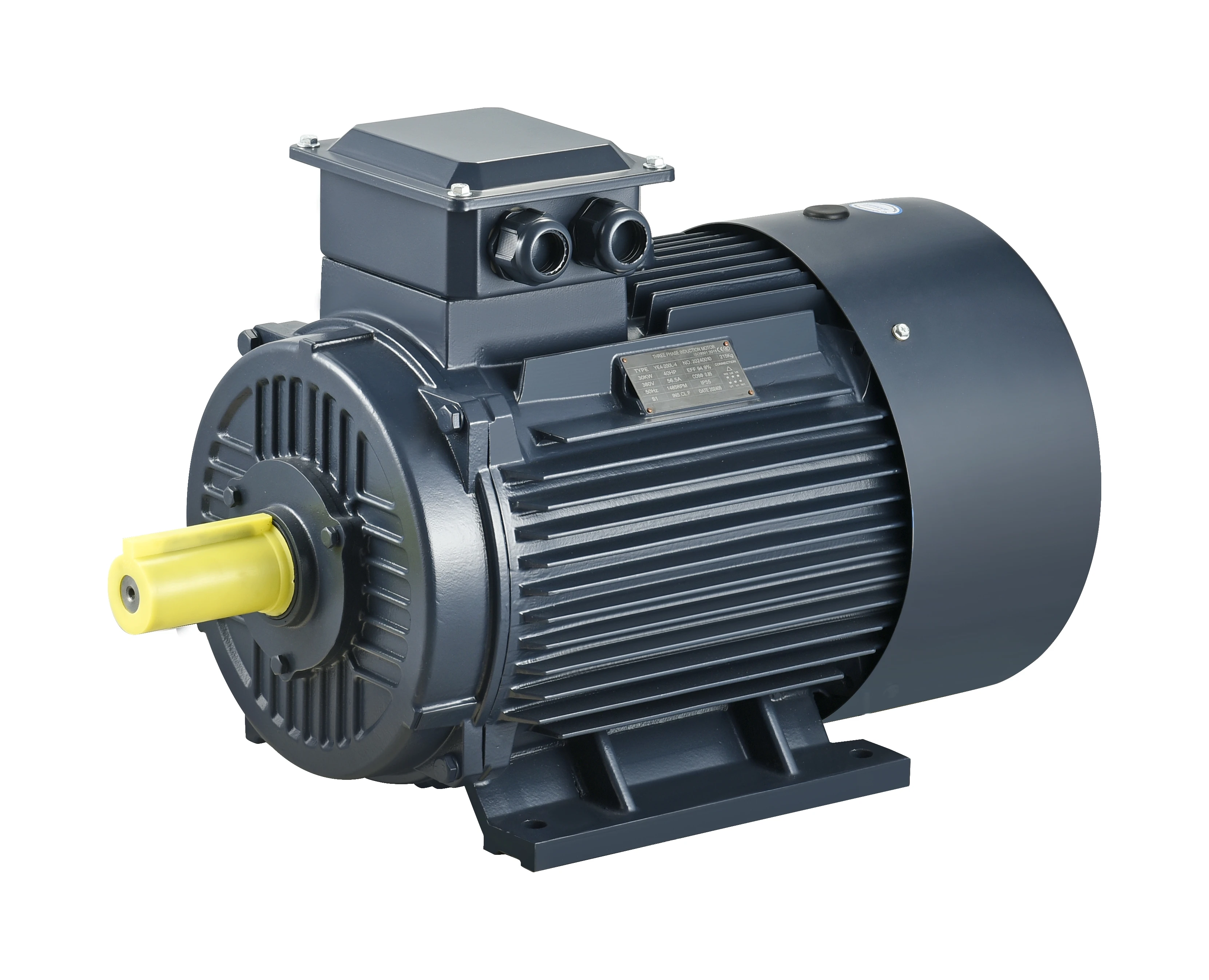 YE3 Series High Efficiency Three-Phase Asynchronous AC Induction Motor Item No.: YE3-80M2-4 0 ...