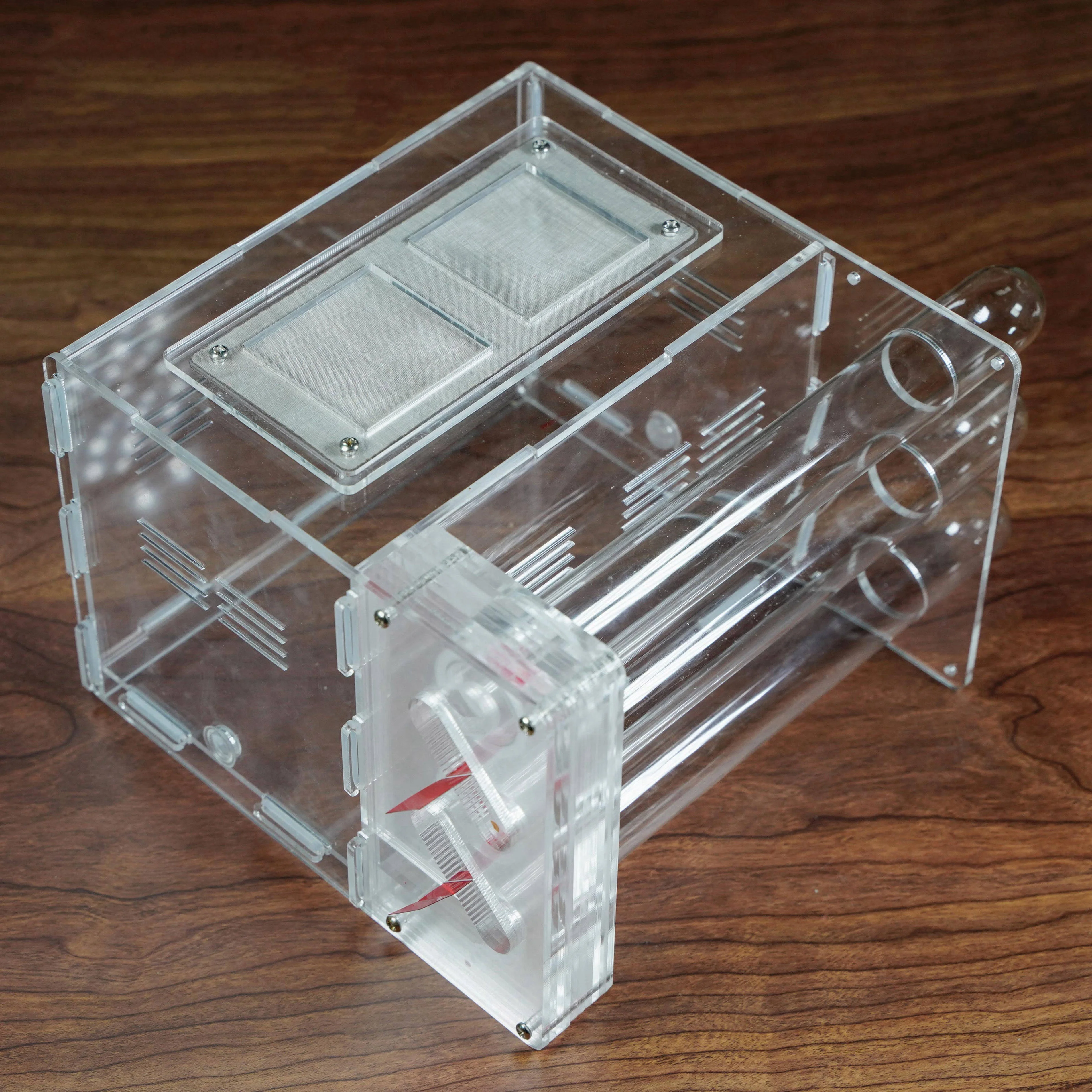 Diy Ants Farm House With Feeding Area Ant Nest Insect Workshop Pet ...