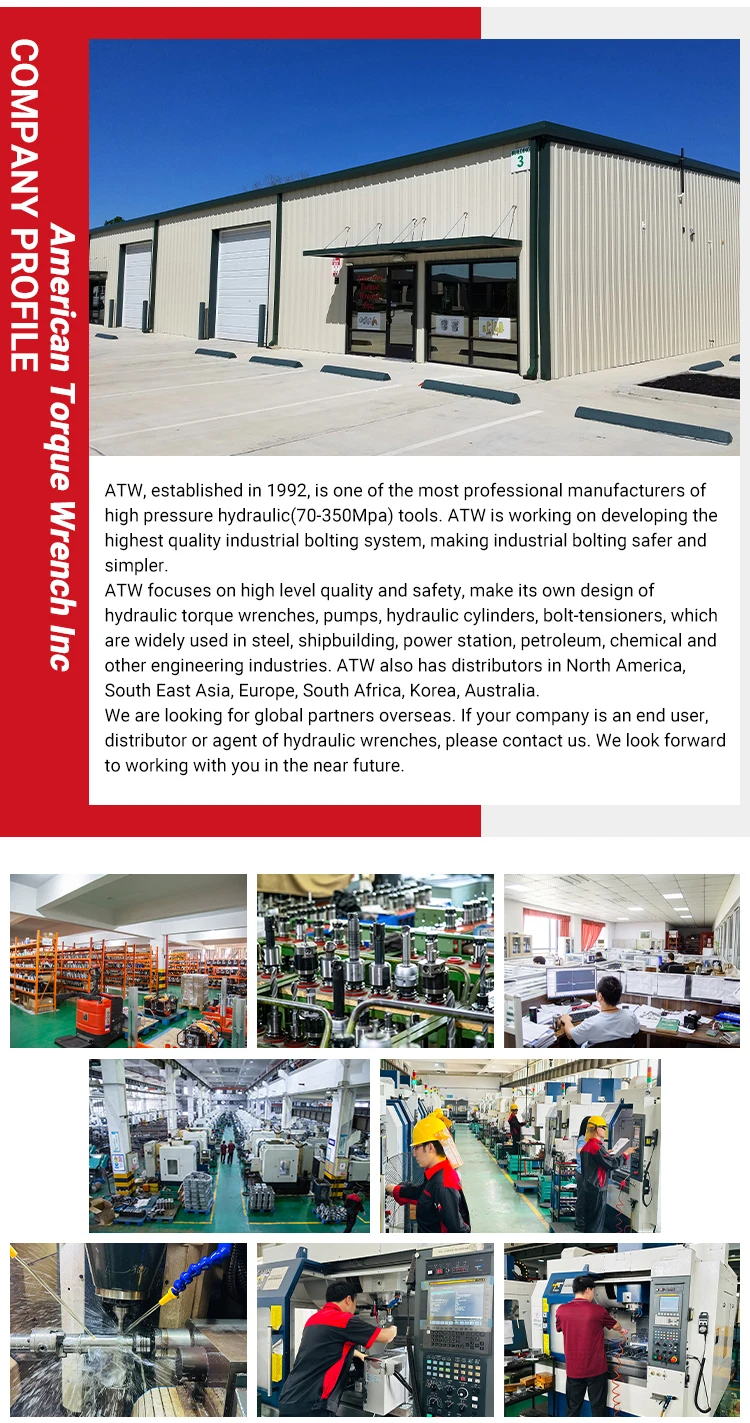 Heavy-Duty Low Profile Torque Wrench for Mechanics H54 Torque 603- 6037 ...