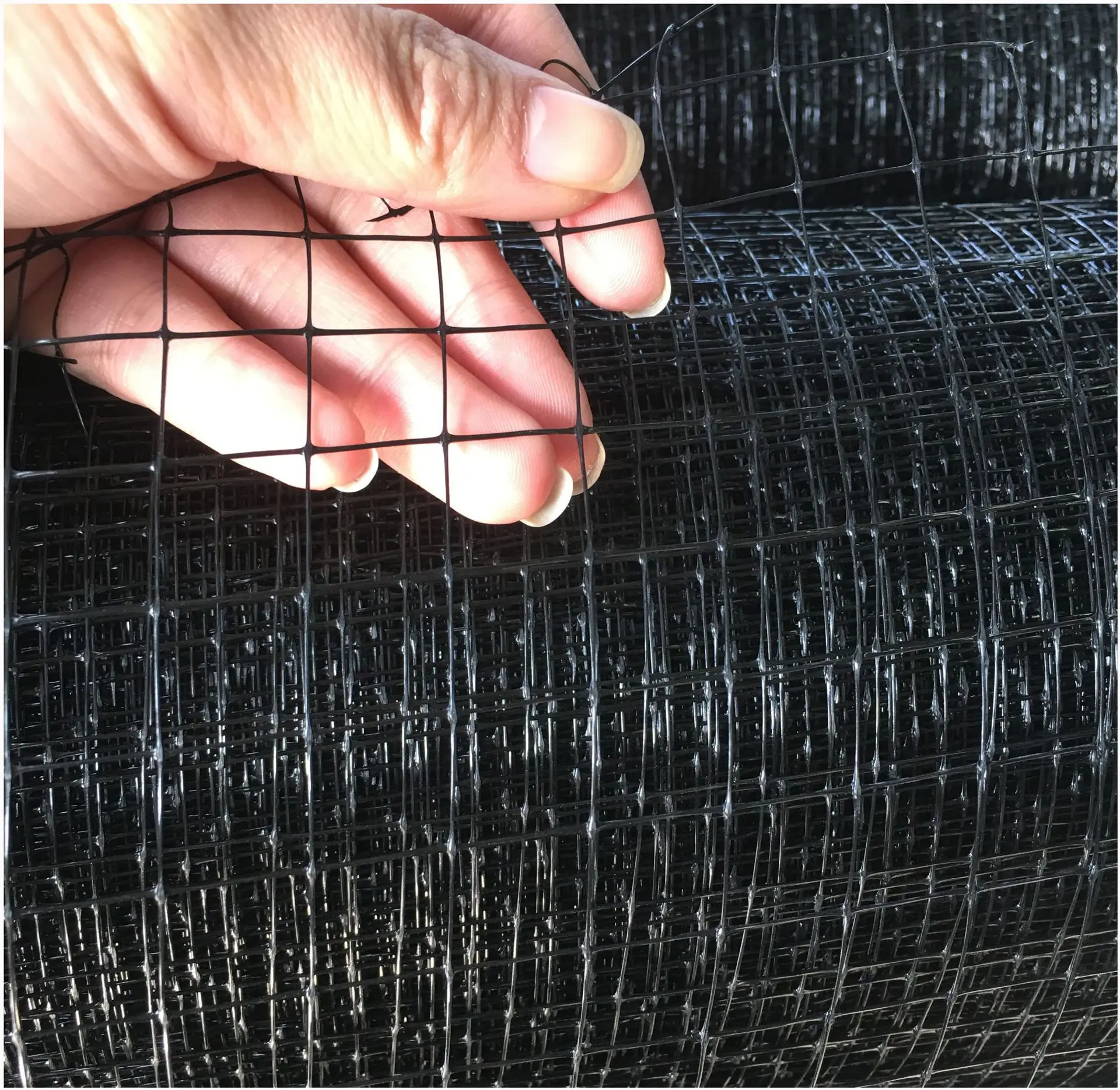 Black Color Plastic Bop Netting/ Garden Anti Bird Net/extruded Mole ...