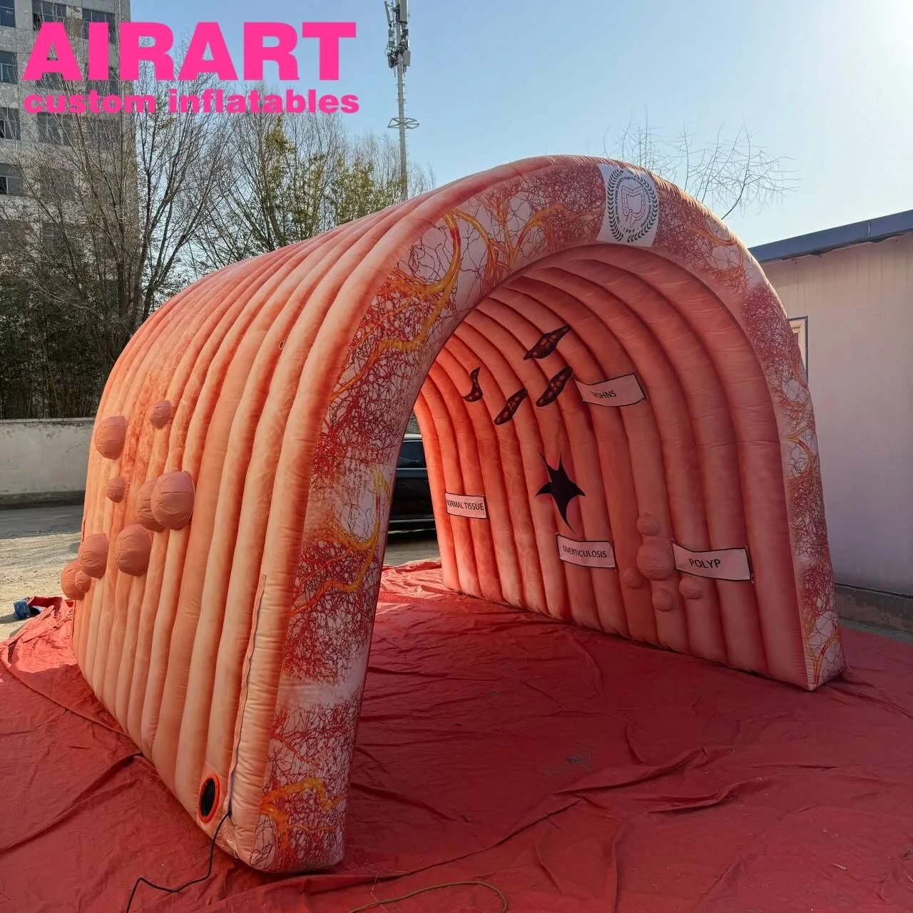 Medical Teaching Colon Cancer Balloon - Customize Inflatable Colon Tunnel