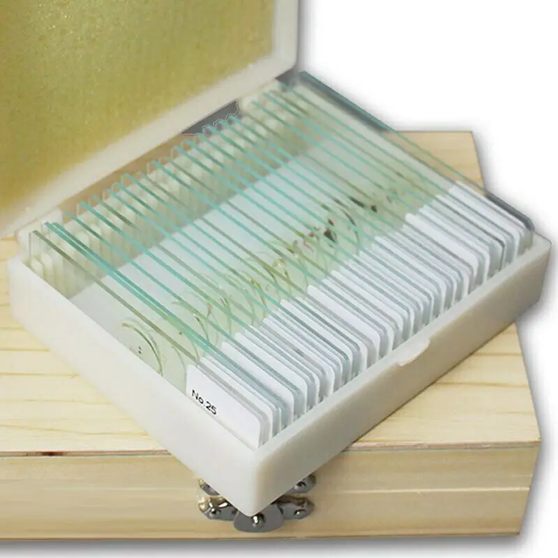 Prepared Lab Glass Slides Advanced Staining Microscope Slide For ...