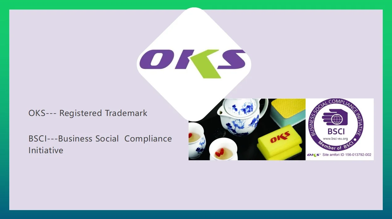 OKS Strong Decontamination Temperature-Sensitive Sponge for Household ...