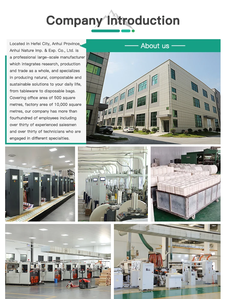 Factory Price Biodegradable Packaging Eco-friendly Disposable Sugarcane ...