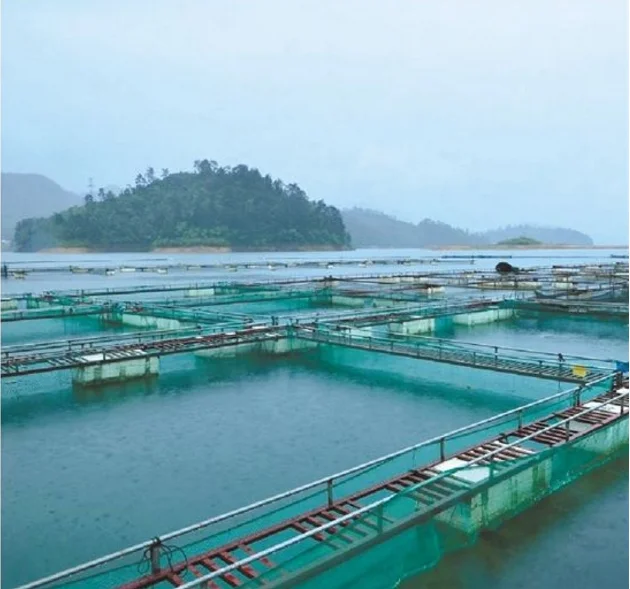 Chinese 100% Hdpe Nylon Knotless Knotted Multifilament Cage Net Fishing ...