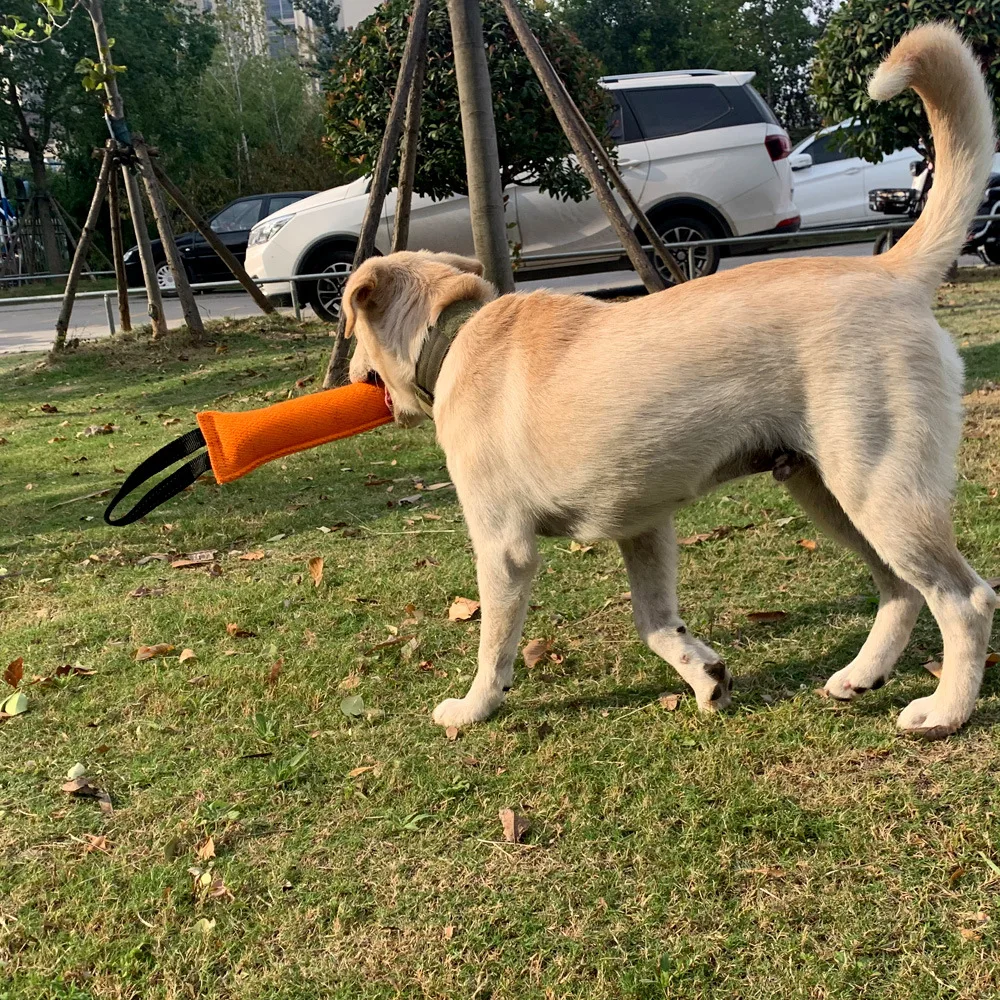 50 Can Customize Logo Dog Tug Toy - Durable Training Equipment