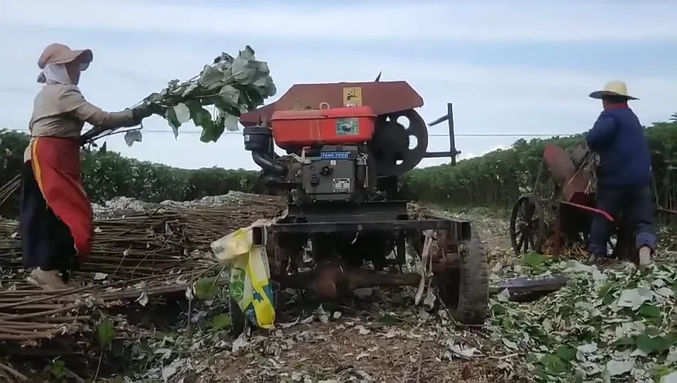 Kenaf Manila Hemp Decorticator Fresh Jute Ramie Stalk Skin Fiber ...