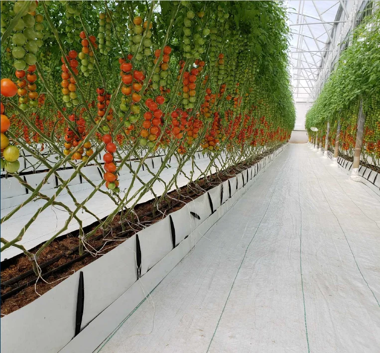 Unti-uv Soilless Growing Troughs - Hydroponic Solutions