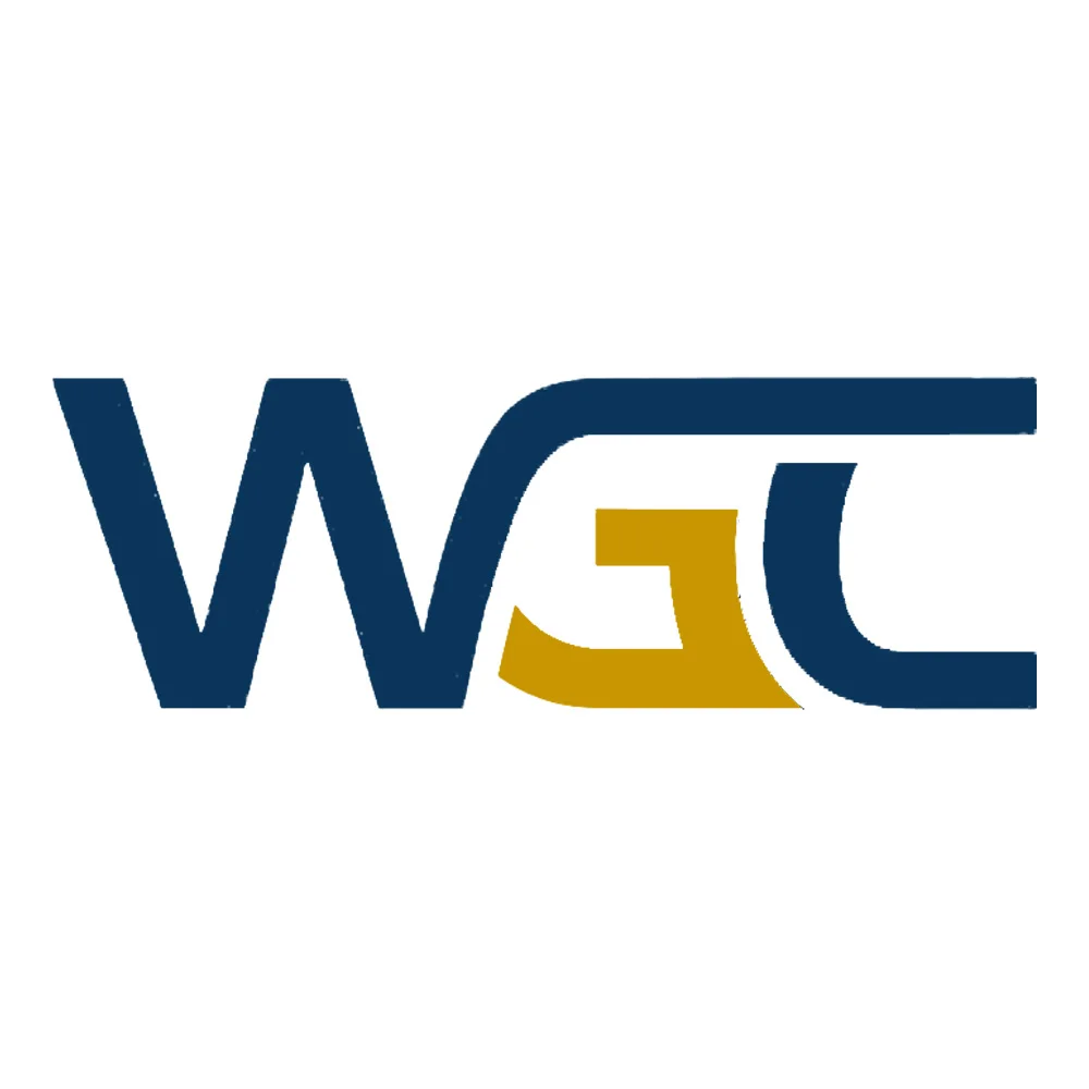 Company Overview - World GlobalConnect Inc