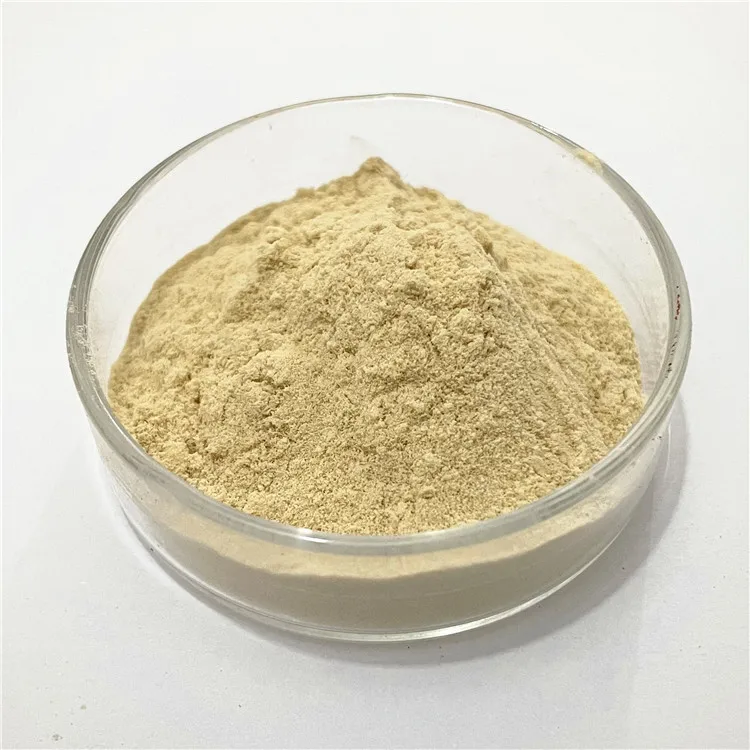 Bacillus Coagulans Supplement Food Grade Free Sample Health Provide ...