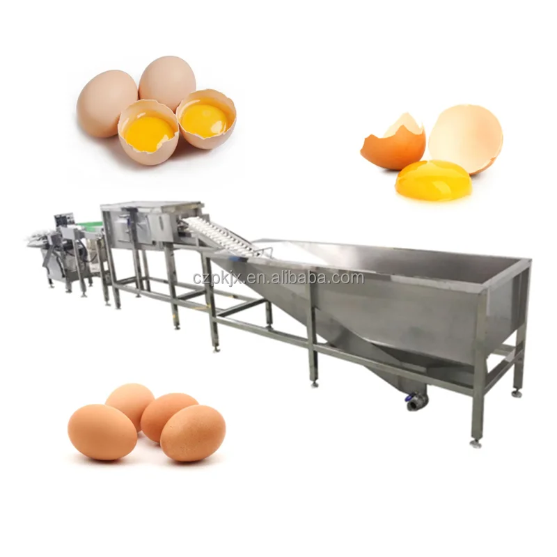 Duck Eggs Washing Machine / Eggs Breaker Machine / Stainless Steel Duck ...