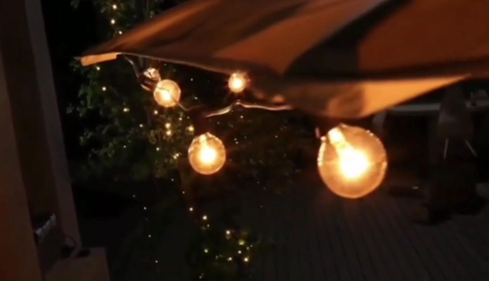 25ft 50ft 100ft G40 Globe Led Ferry String Lights For Outdoor Wedding ...