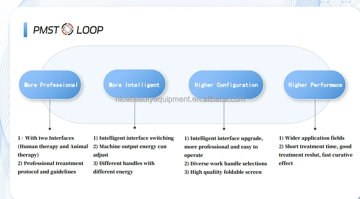 PEMF Human and Horses Pulsed Electromagnetic Field PMST LOOP PRO MAX ...