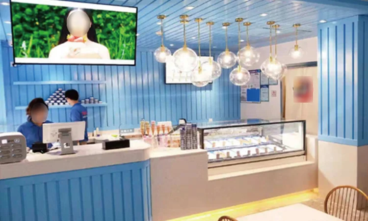 Pozzetti Gelato Showcase - Elegant Display Solutions