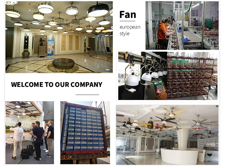 Company Overview - Zhongshan Huanhai Lighting Co., Ltd.